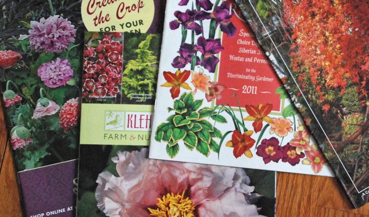 Navigating Garden Catalogs to Plan for the Season Ahead - | - thirdAGE