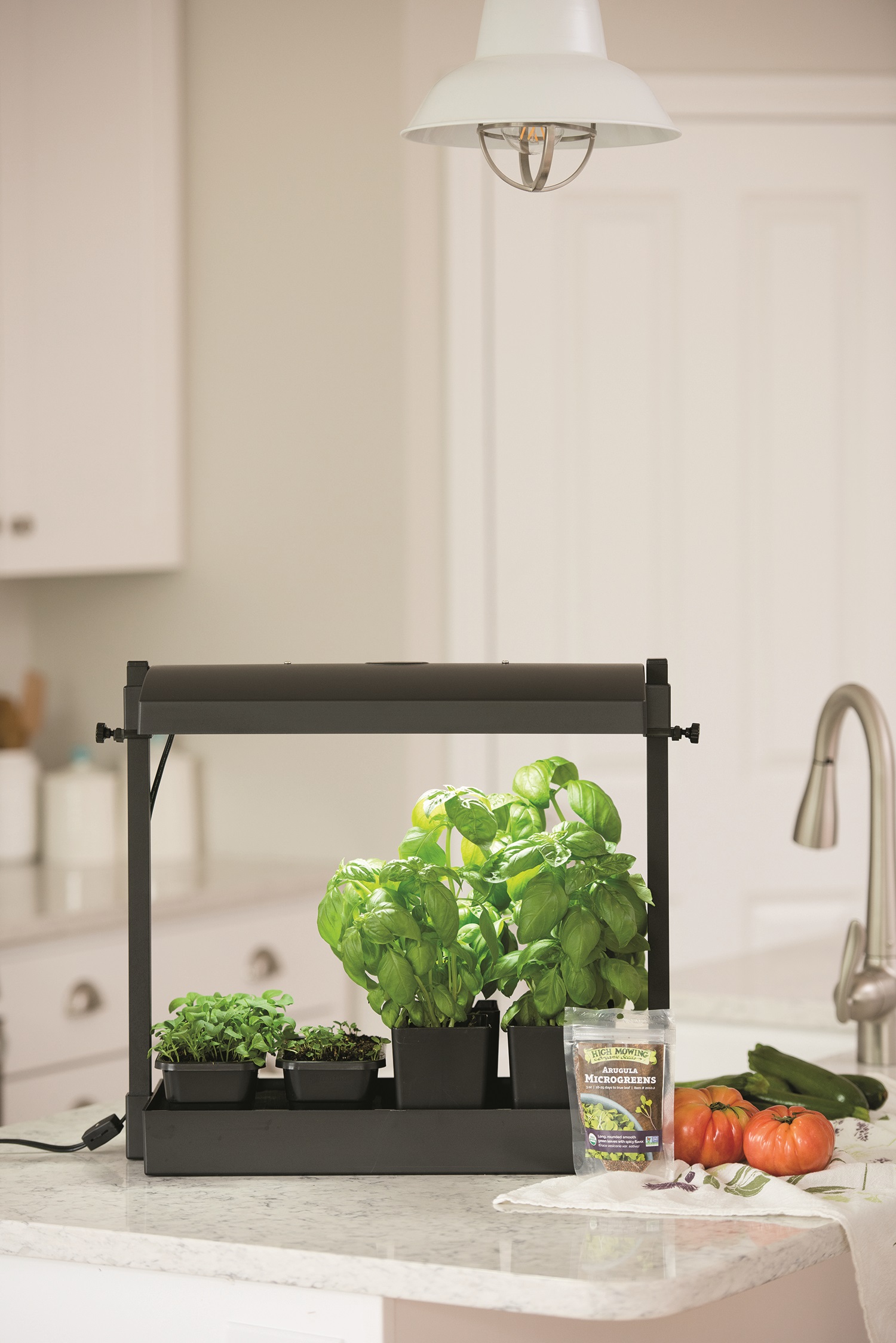 Grow Quick, Easy and Nutritious Microgreens - | - thirdAGE