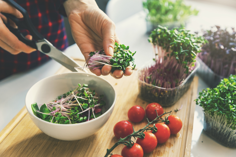 Grow Quick, Easy and Nutritious Microgreens - | - thirdAGE