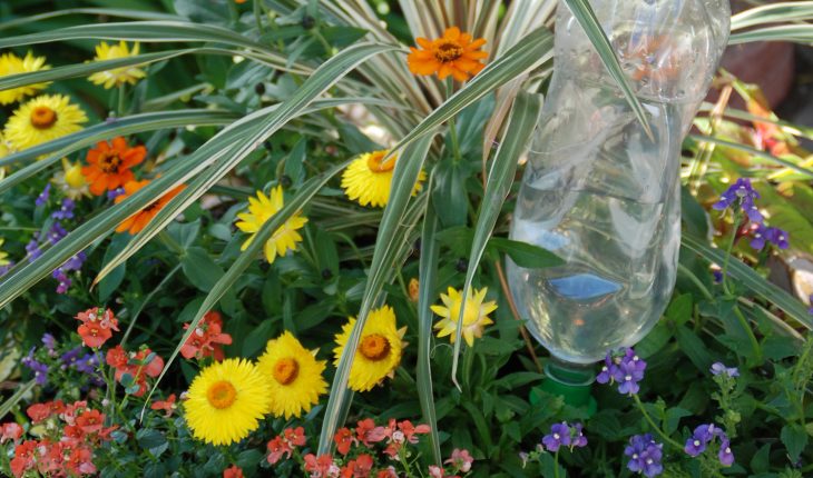 Vacation Care for Container Gardens - | - thirdAGE